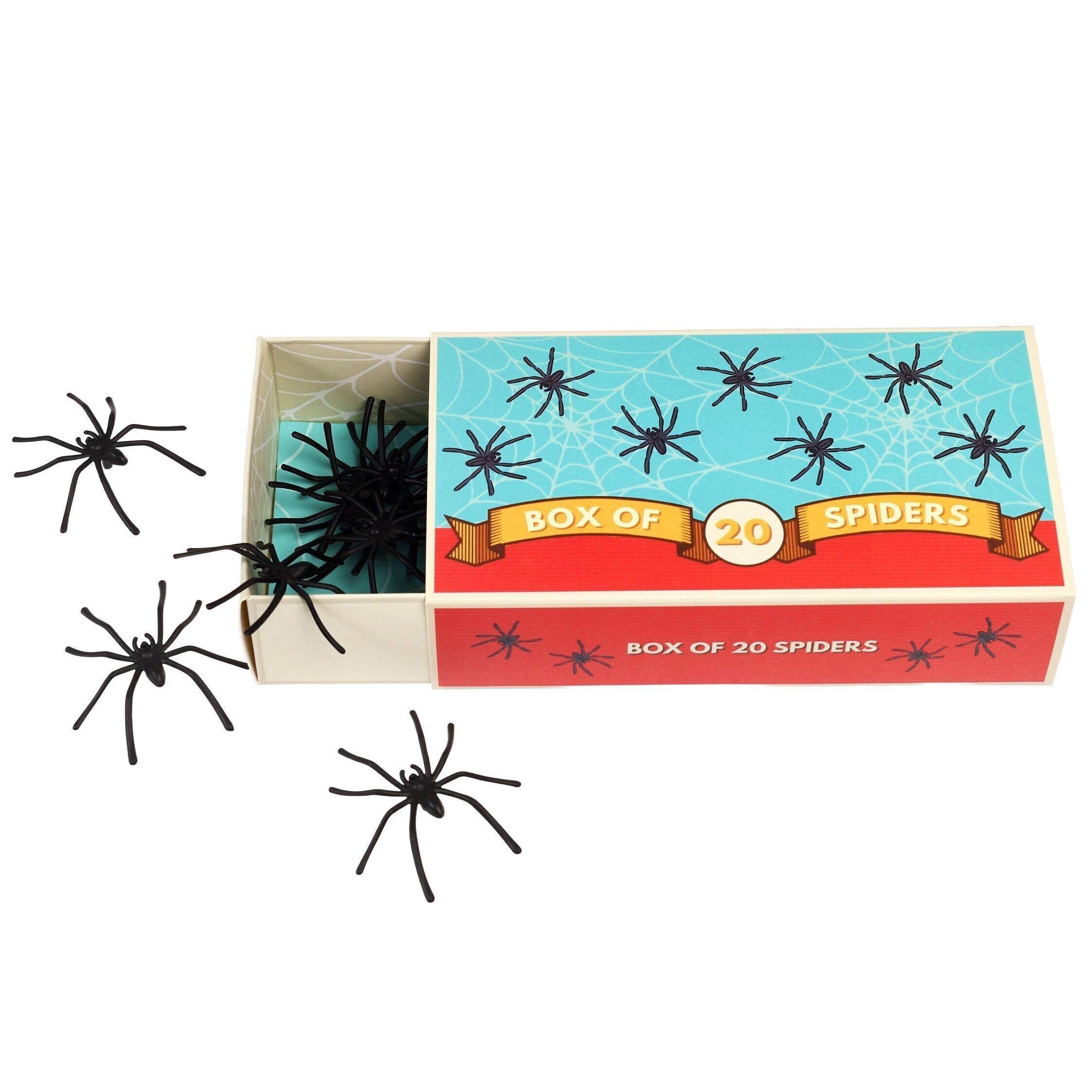Box of 20 Spiders – Split Figs